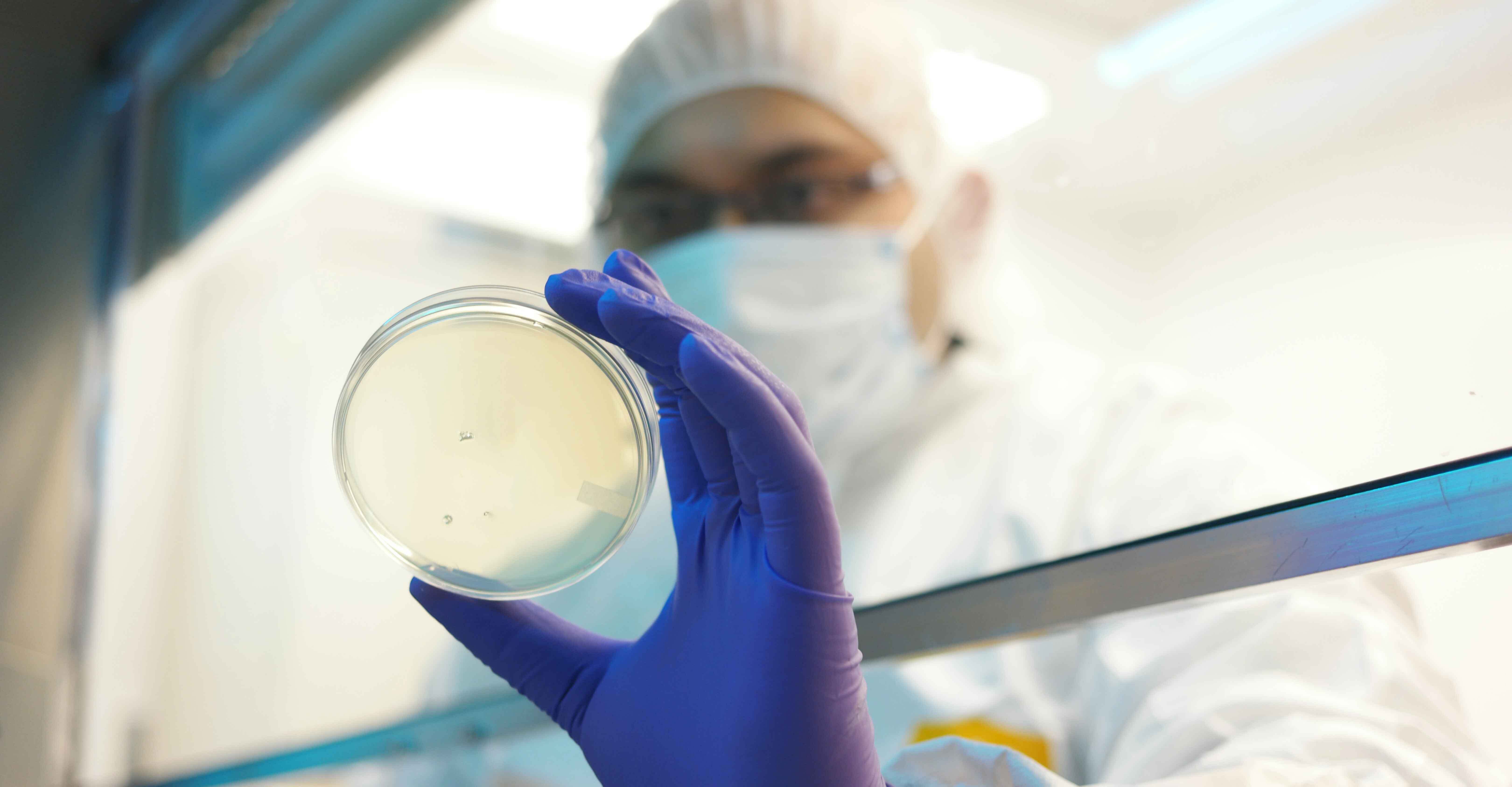 The Truth about Wound Infection and Treatment | WCEI